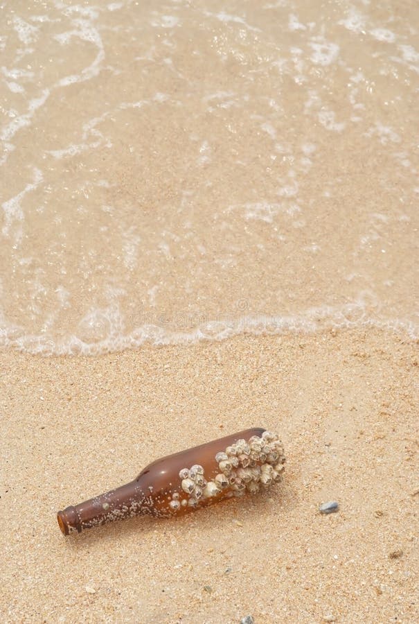 Barnacle bottle stock photo. Image of glass, bottle, barnacles - 14871380
