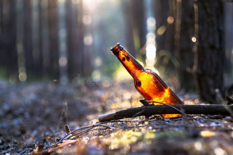 A Beer Bottle Stands in a Pine Forest. Stock Image - Image of drink ...