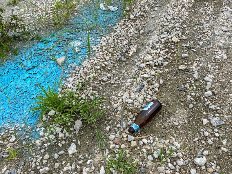 A Beer Bottle Thrown on the Ground Stock Photo - Image of building ...