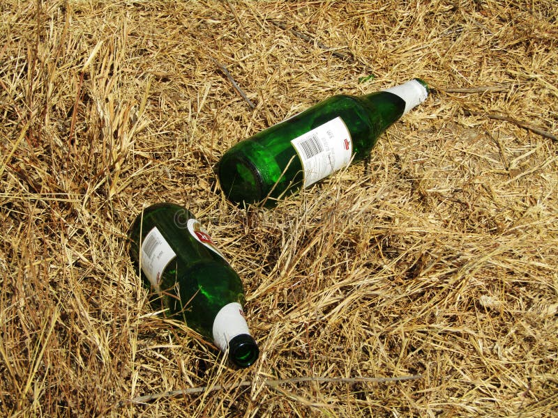 Beer bottles at forest editorial stock photo. Image of closeup - 111063723