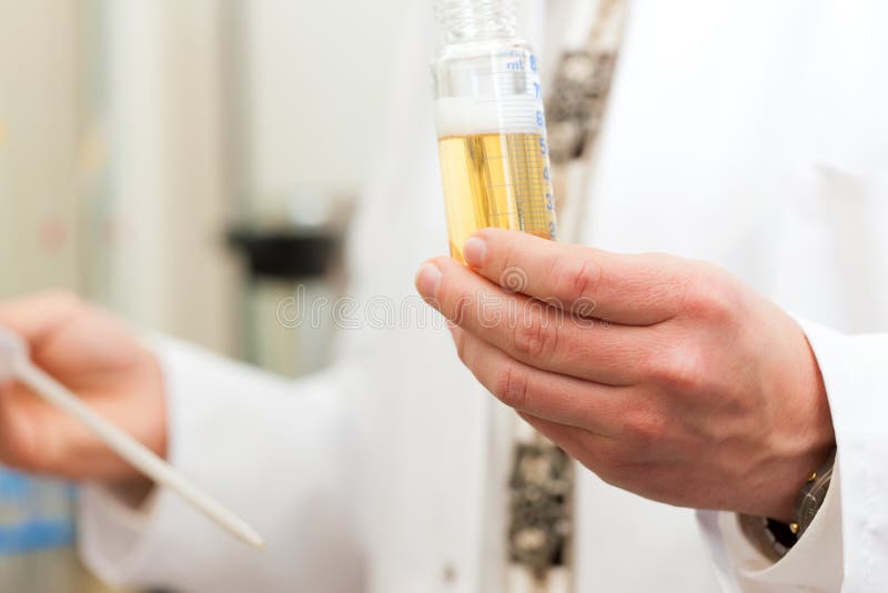 Beer Brewer in Food Laboratory Examining Stock Image - Image of ...