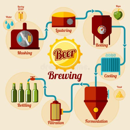 Beer Brewing Process Infographic. in Flat Style Stock Vector ...