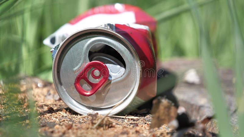 Beer Can Lies in the Forest, Abuse of Environment Stock Footage - Video ...