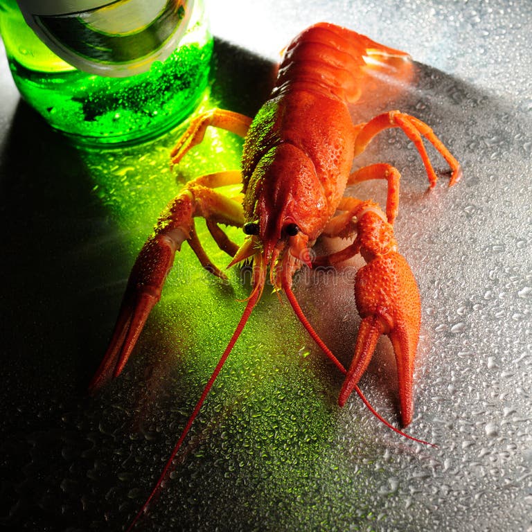 Beer & cancer stock photo. Image of cancer, waterdrops - 12071836