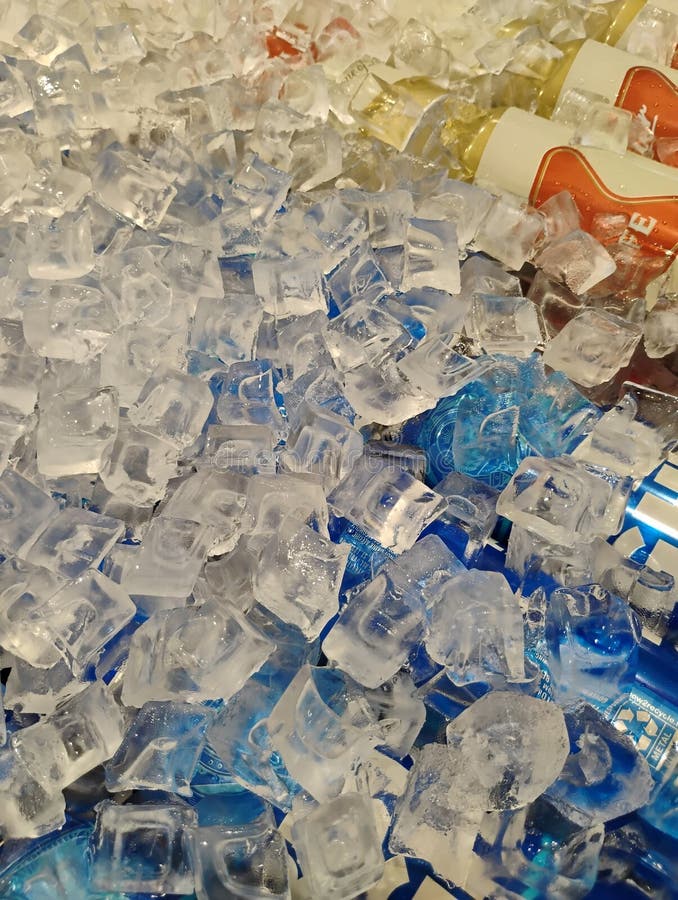 Beer Cans Chilling Under Ice Cubes Stock Photo - Image of buzz, cans ...