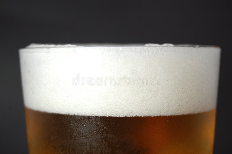 Beer closeup stock photo. Image of pint, cold, isolated - 10444750
