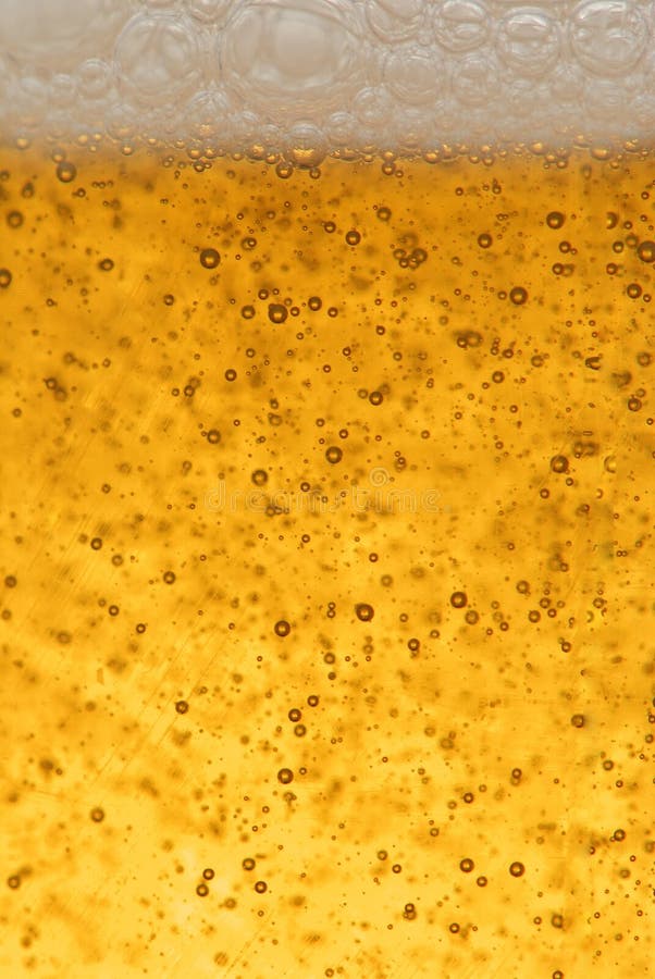 Beer in closeup stock photo. Image of drink, foam, brewery - 3600206