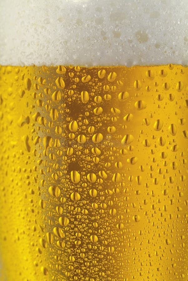 Beer closeup stock photo. Image of glass, drink, brewed - 6072670