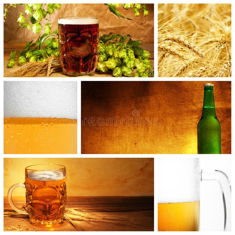 Beer pub labels stock vector. Illustration of sign, icon - 34219908