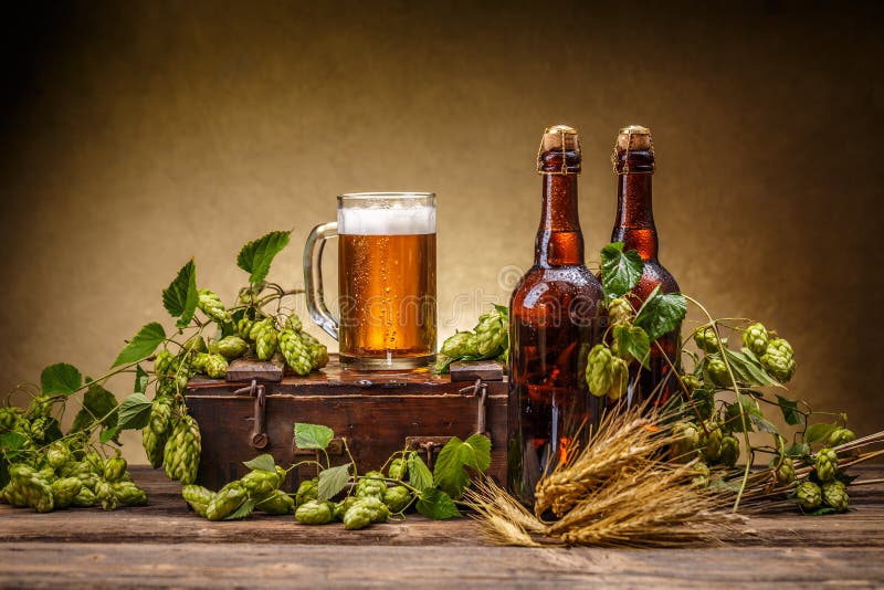 Beer concept stock image. Image of healthy, herb, botany - 46127051