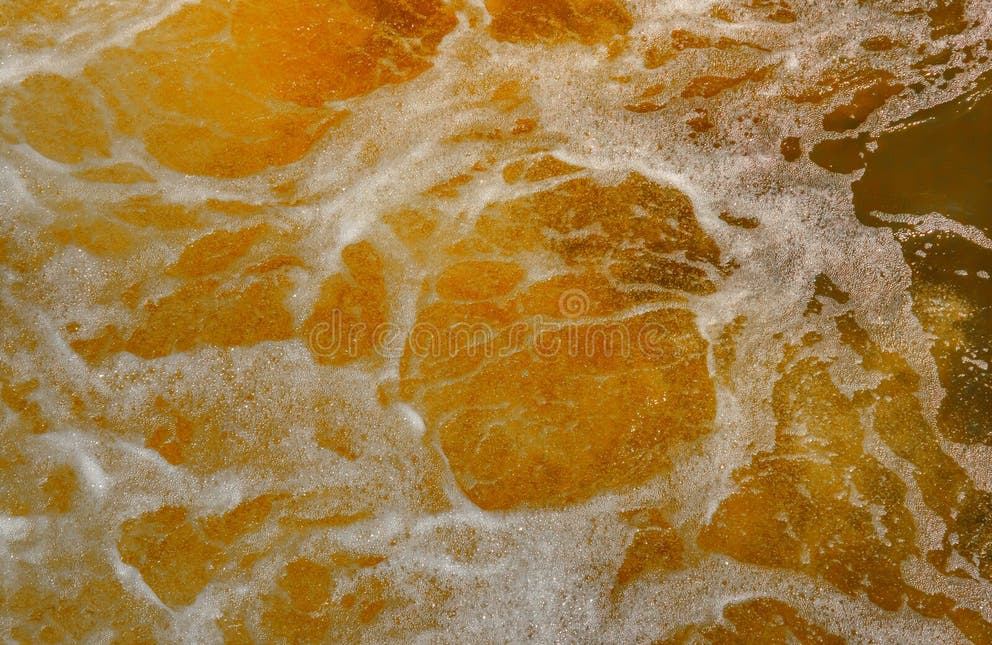 Beer in the Cooking Process Stock Image - Image of beer, fresh: 65750923