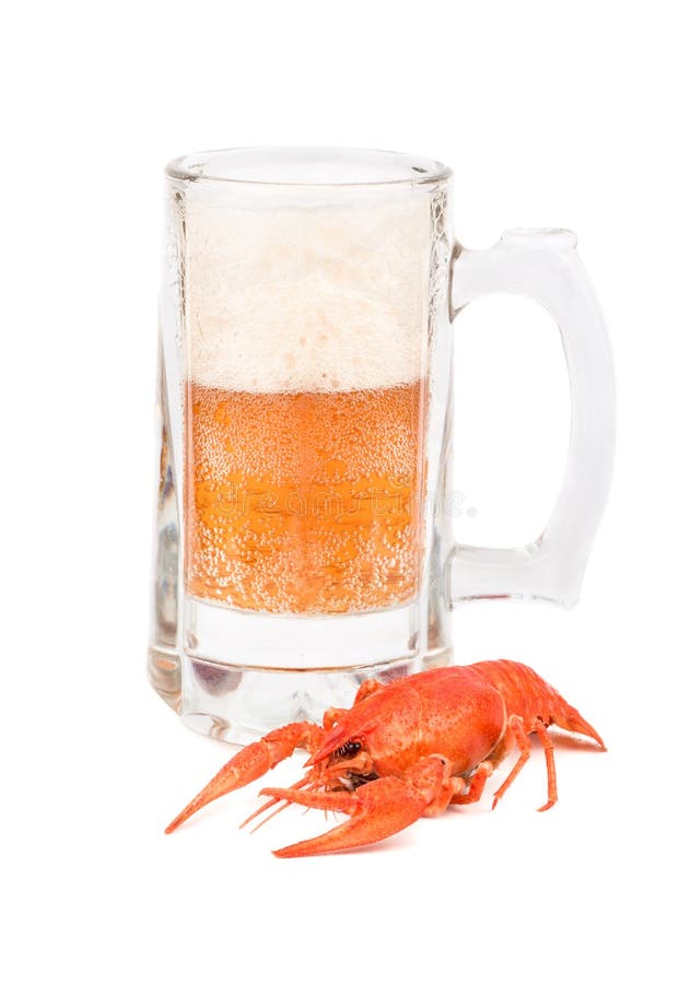 Beer with crayfish stock photo. Image of boiled, drinking - 62394736