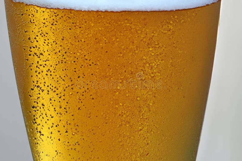 Beer. Drink in a Beer Mug. International Beer Day. August 4th Stock ...