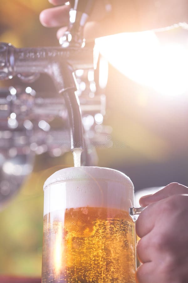 Beer Filling in a Brewery - Conveyor Belt with Glass Bottles Stock ...