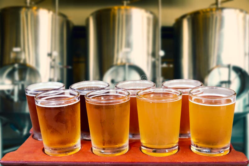 Beer Flight. stock image. Image of brewery, fest, craft - 37579417