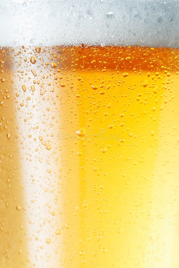 Beer an Foam. stock photo. Image of alcohol, satisfaction - 24151140