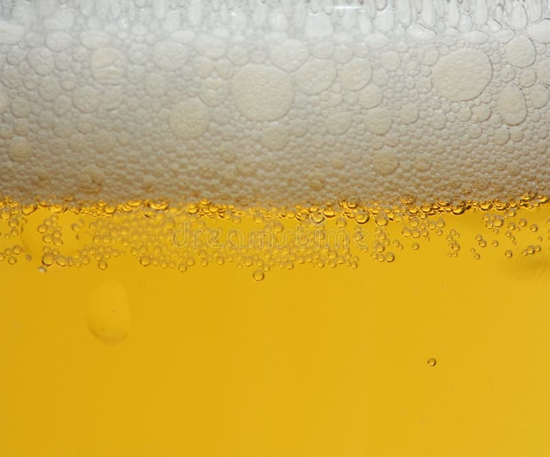 Beer an Foam. stock photo. Image of alcohol, satisfaction - 24151140