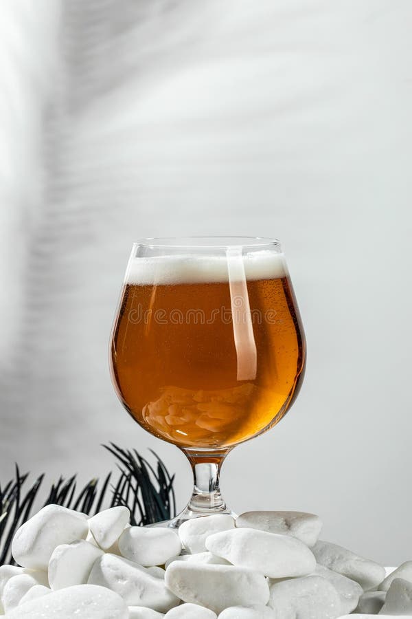 Beer with Foam Splash. Freeze Motion Splash Drops of Beer Foam Stock ...