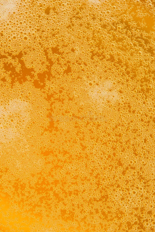 Beer froth stock image. Image of cold, temperature, fresh - 63710743