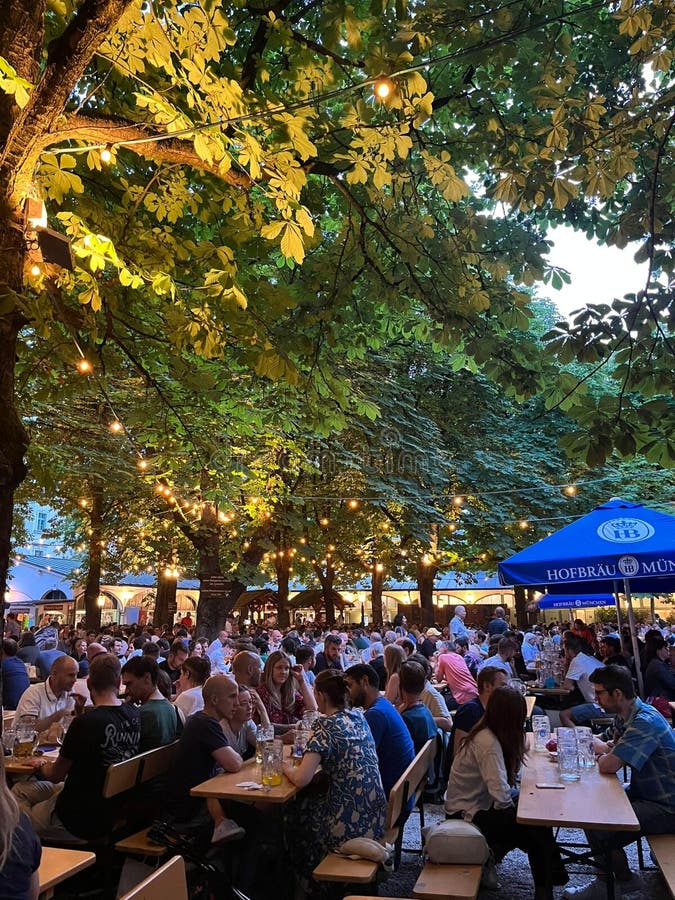 Beer garden in Munich editorial stock image. Image of hofbrau - 281827644
