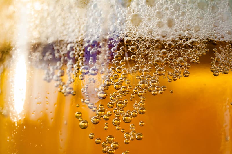 Beer on glass detail stock photo. Image of brewed, alcohol - 279052722