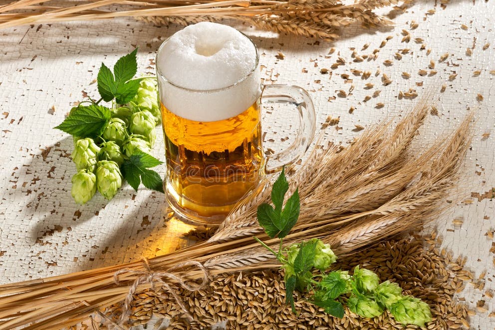 Beer Glass and Hops stock image. Image of beer, lager - 37710727
