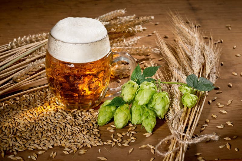 Beer Glass and Hops stock image. Image of life, bitter - 37710819