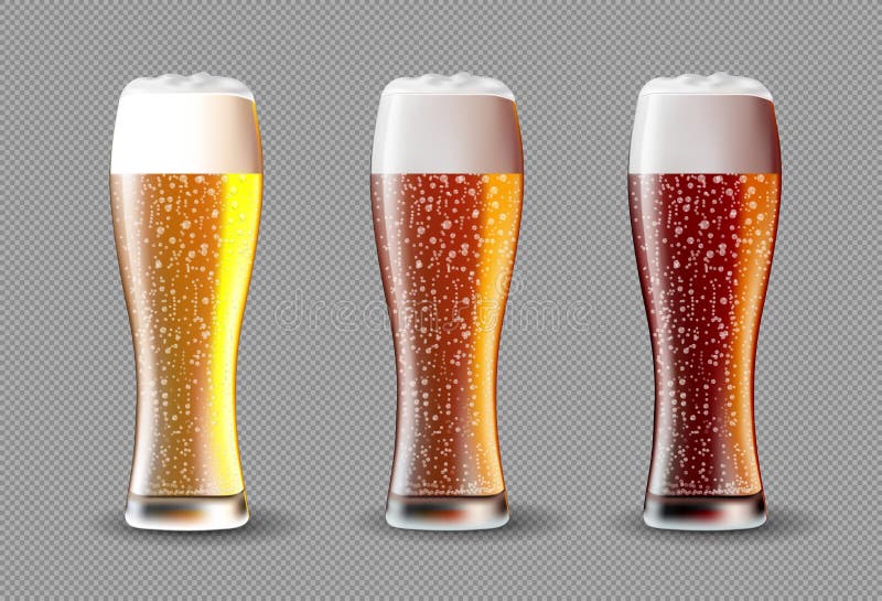 Beer on Glass. Realistic Vector Beer Set on Transparent Background ...