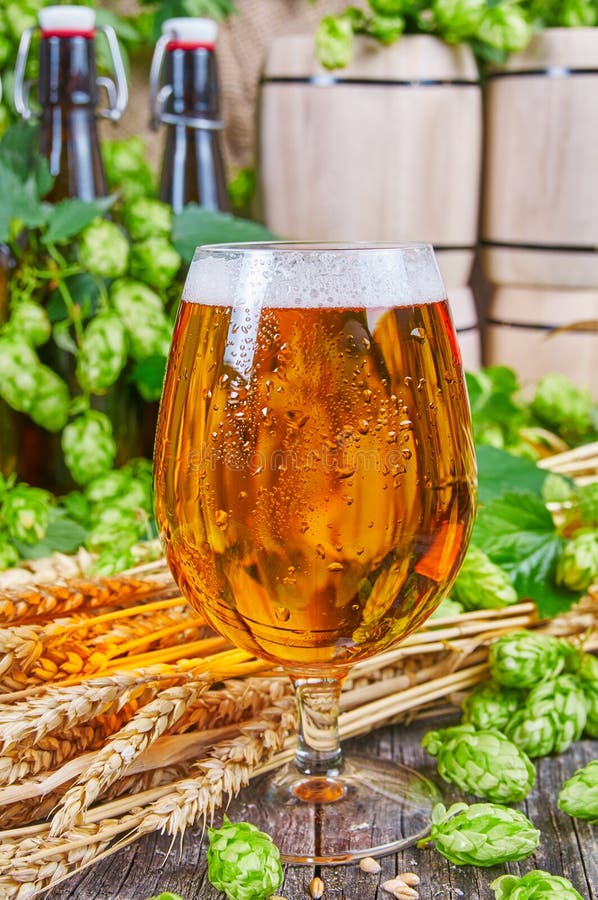 Beer in glass stock photo. Image of alcoholic, festivity - 69678012