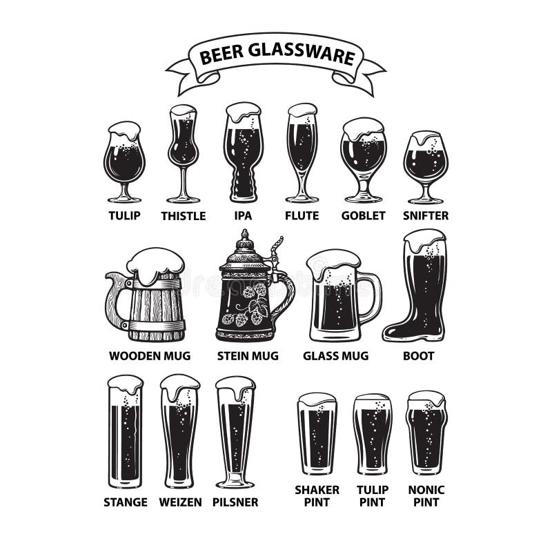 Beer Glassware Guide. Various Types of Beer Glasses and Mugs.. Design ...
