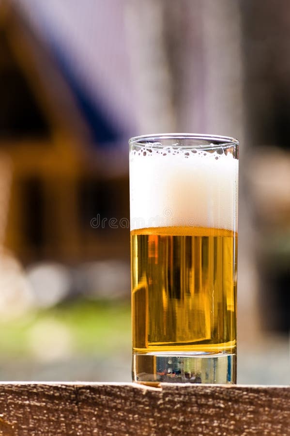 Beer goblet with beer stock photo. Image of dishware, celebration - 5551760