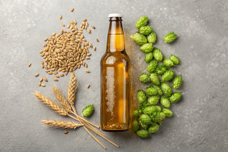 Beer, Green Hops and Malt on Stone Surface. Top View Stock Image ...