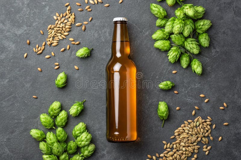 Beer, Green Hops and Malt on Stone Surface. Top View Stock Image ...