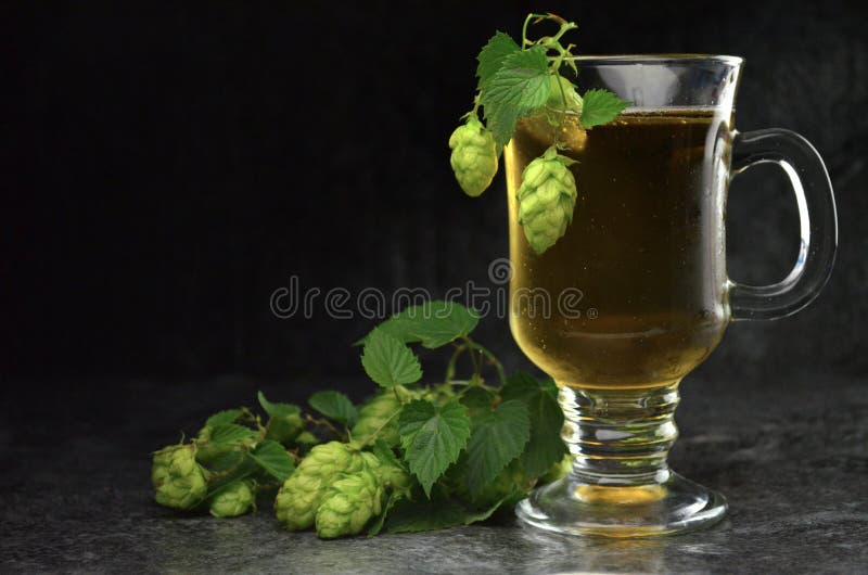 Beer and hop composition stock image. Image of composition - 78155847
