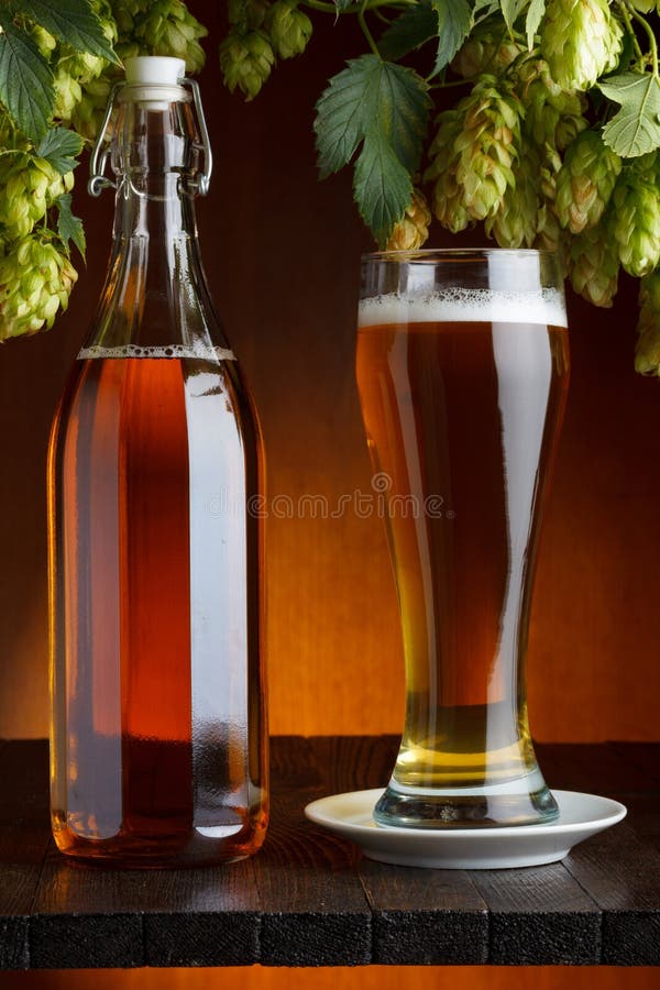 Beer with Hop on Wooden Table Stock Image - Image of booze, humulus ...