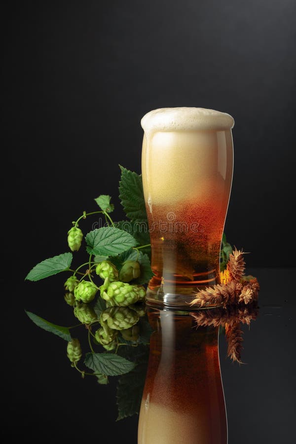 Beer, Hops, and Barley on a Black Background Stock Image - Image of ...