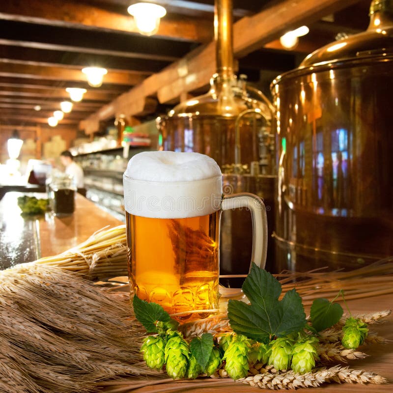 Beer Hops and Barley stock image. Image of brewery, brew - 43511929