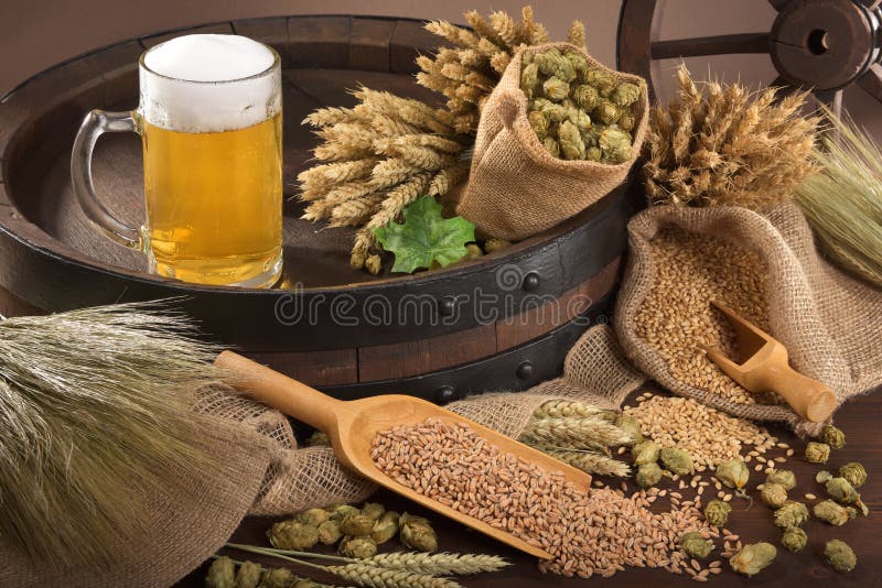 Beer ingredients stock photo. Image of hard, brewery - 63388634
