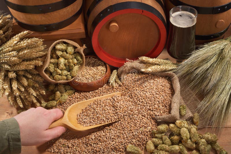 Beer ingredients stock image. Image of hops, decoration - 70125633