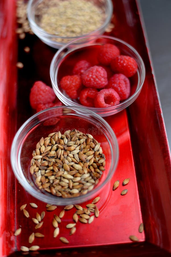 Beer Ingredients on Red Tray Stock Photo - Image of artistic, alcohol ...