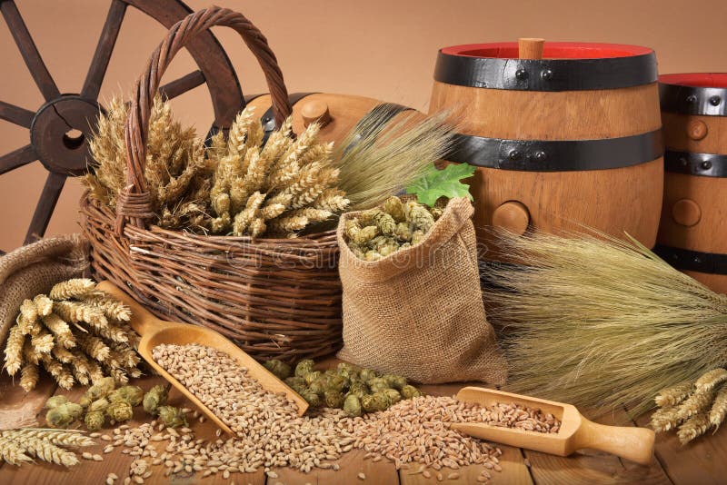 Beer ingredients stock image. Image of structural, alcohol - 63437731