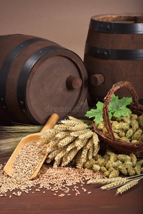 Beer ingredients stock photo. Image of weathered, dried - 62450110