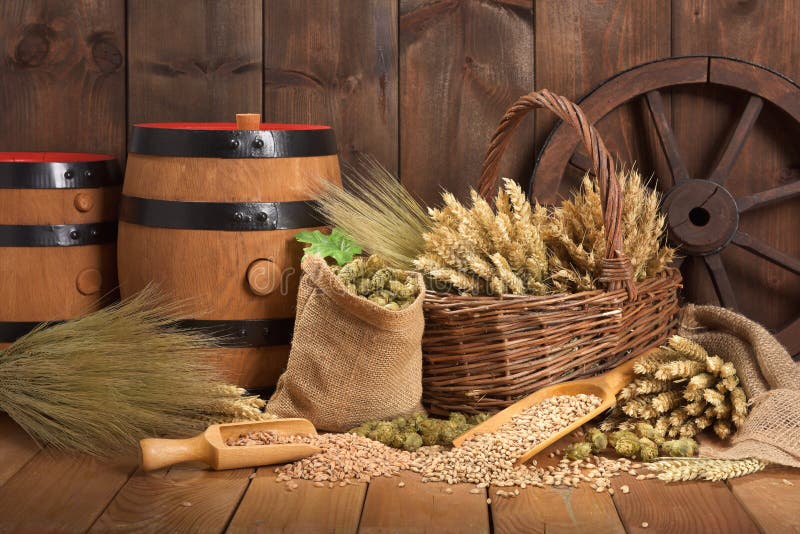 Beer ingredients stock image. Image of effect, shovel - 63774351