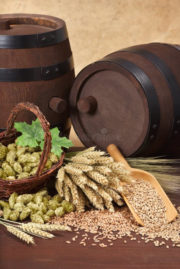 Beer ingredients stock image. Image of brewery, harvest - 63779945