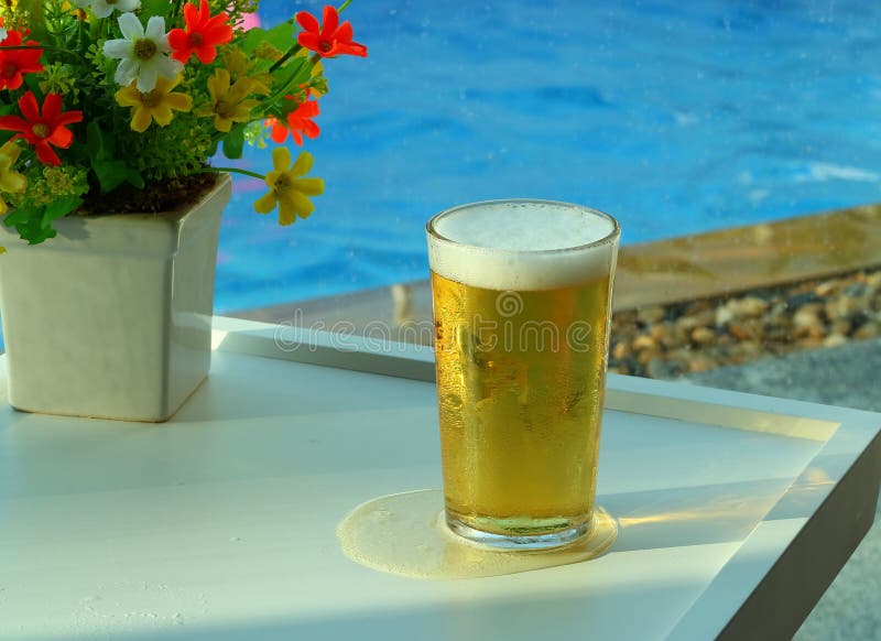 Beer stock photo. Image of closeup, objects, resort, palm - 63190300