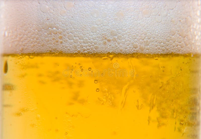 Beer closeup stock photo. Image of brew, beer, botle, german - 664