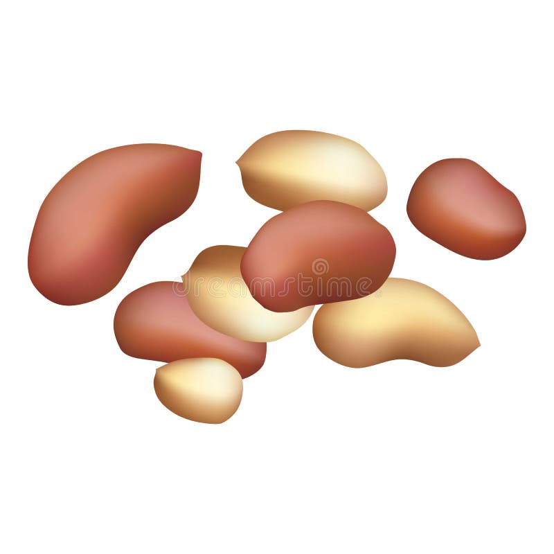 Beer Peanut Icon, Cartoon Style Stock Vector - Illustration of alcohol ...