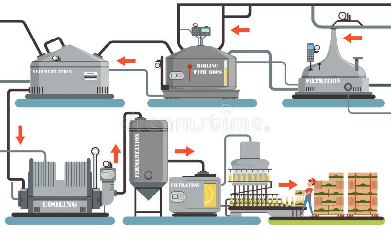 Fermentation and Filtration Process, Beer Brewing Production Vector ...