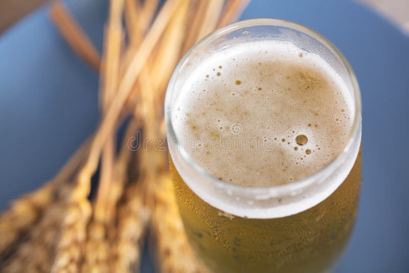 Beer and Raw Materials on Plate Stock Photo - Image of beer, still ...