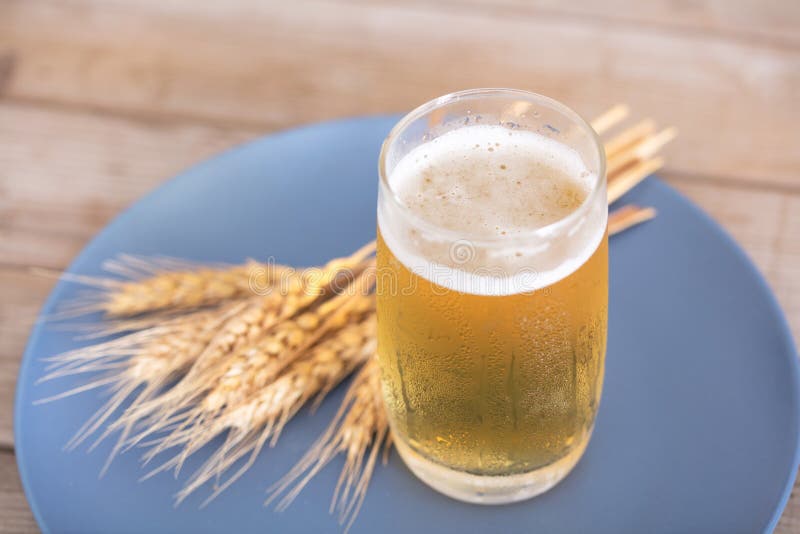 Beer and Raw Materials on Plate Stock Photo - Image of liquid, foam ...
